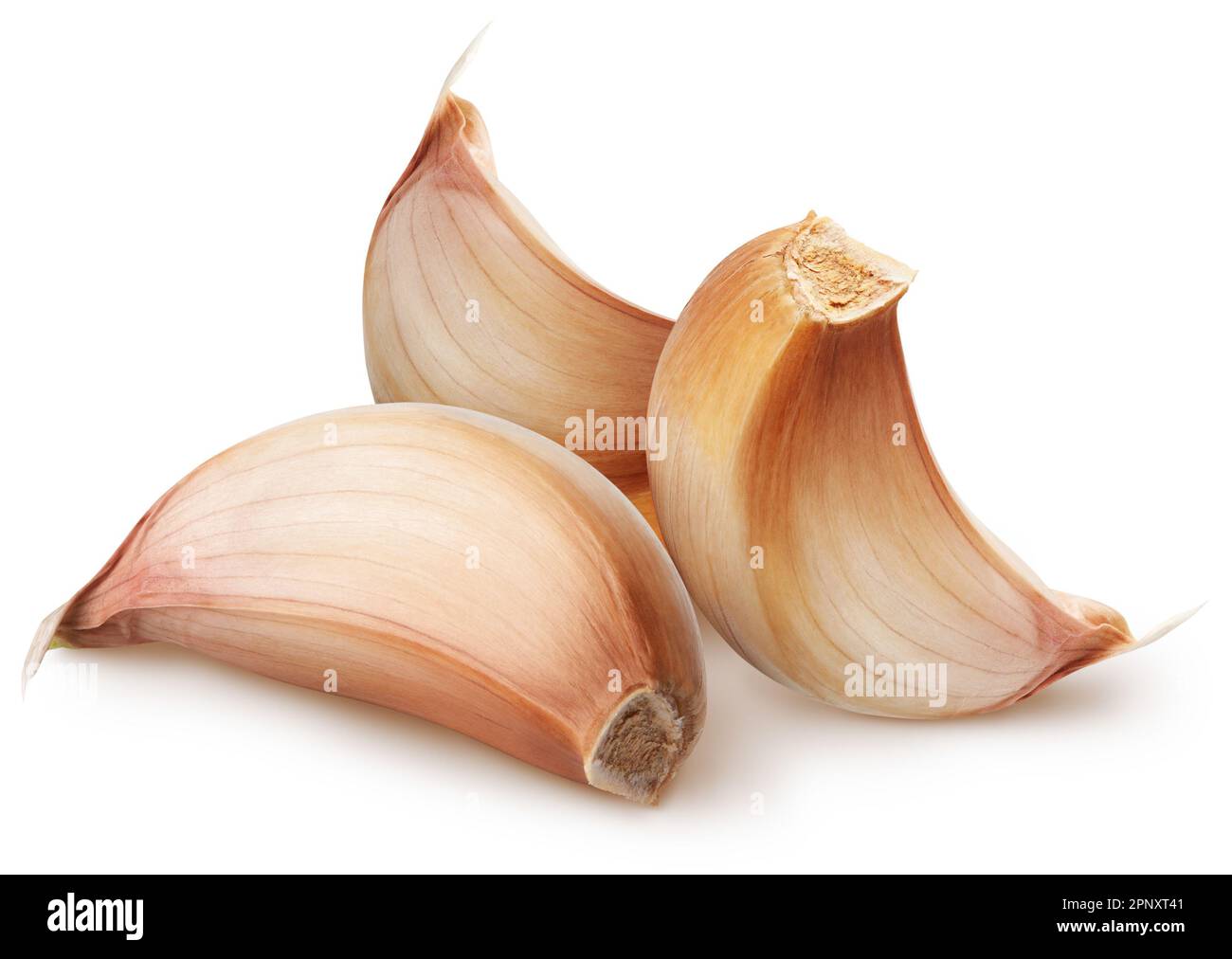 Isolated garlic. Raw garlic segment isolated on white background, with ...