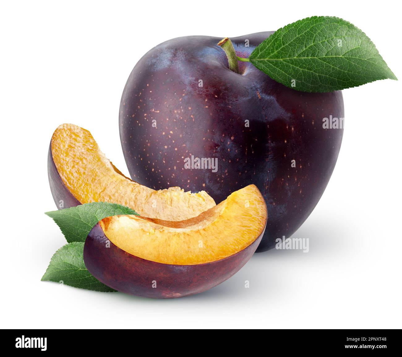 Isolated plums. Whole and two pieces of blue plum fruit with leaves ...