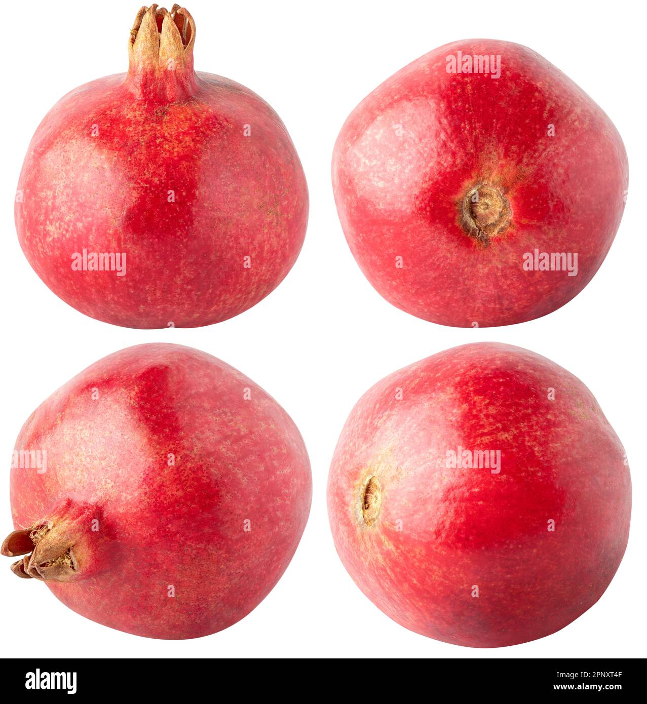 Isolated pomegranate collection. Four different shapes of pomegranate ...