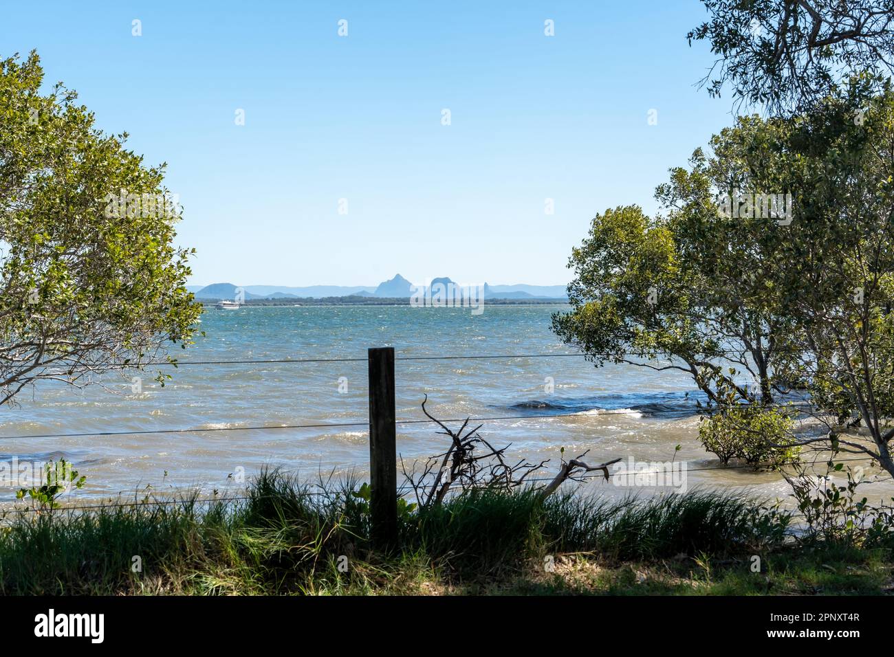 View between mangroves on the shore of Bribie Island, across ...