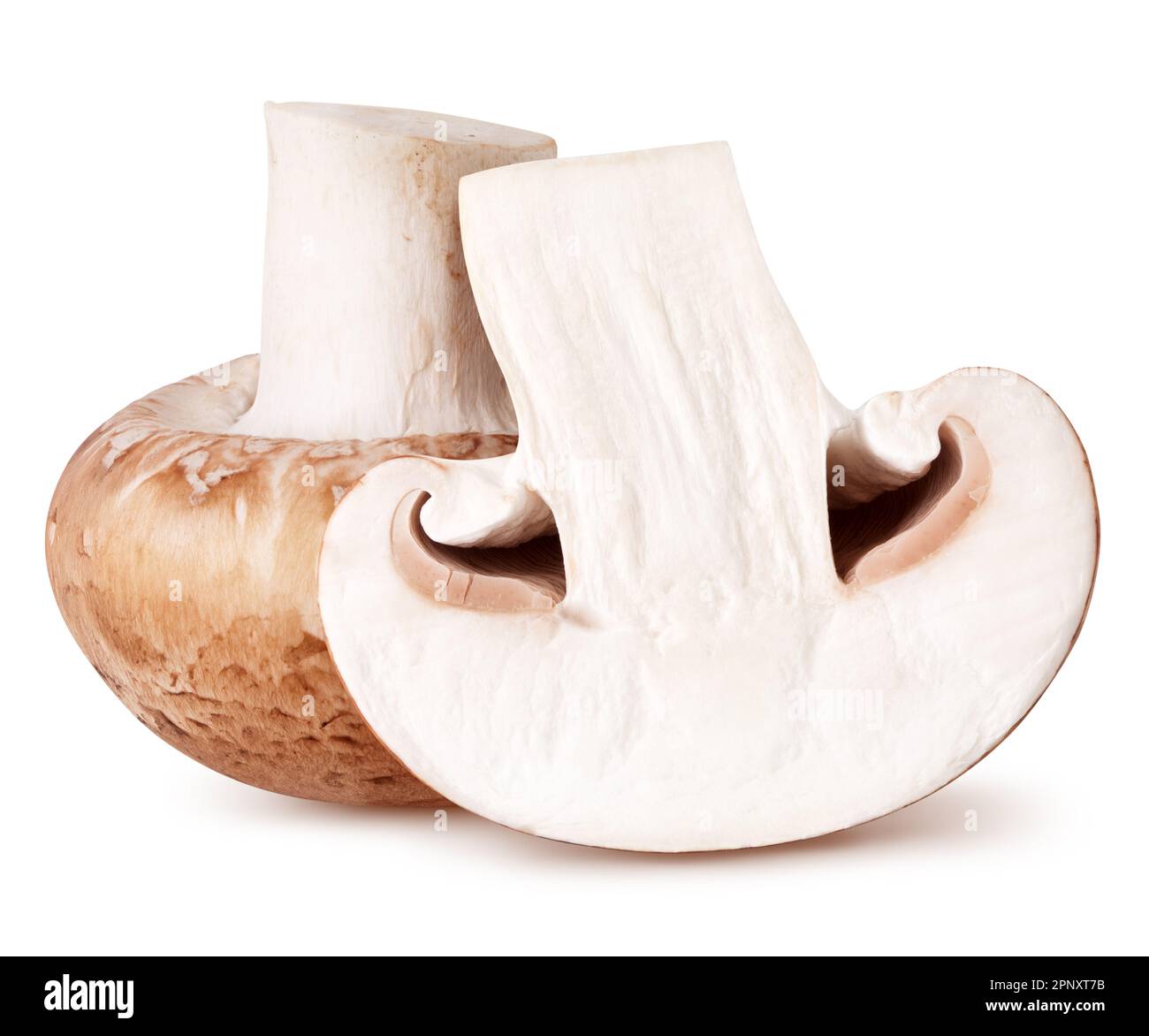 Isolated mushrooms. Fresh whole champignon mushroom and half isolated ...