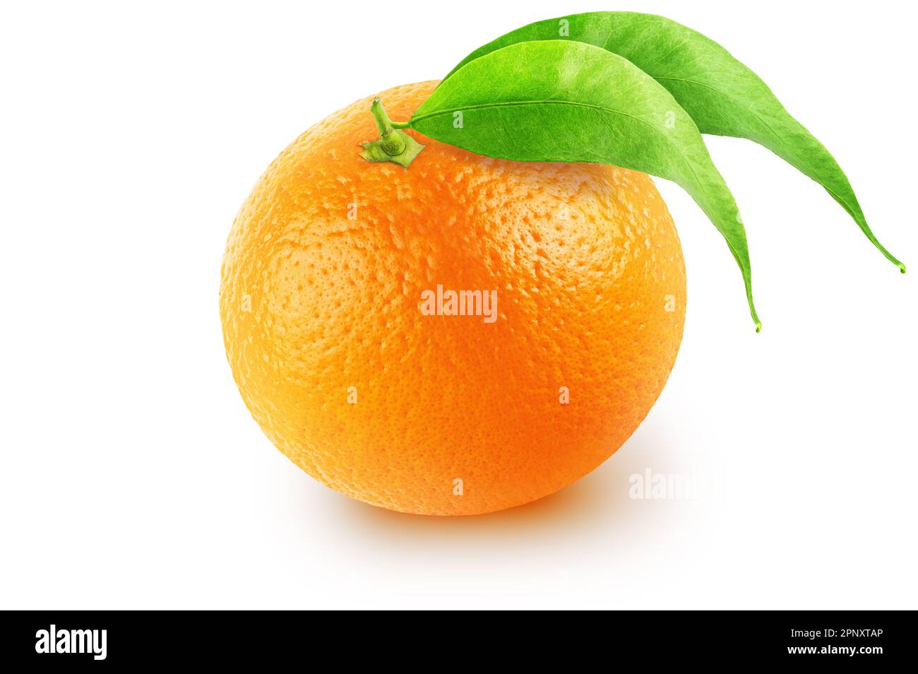 Isolated orange fruit. Whole orange with leaves isolated on white ...