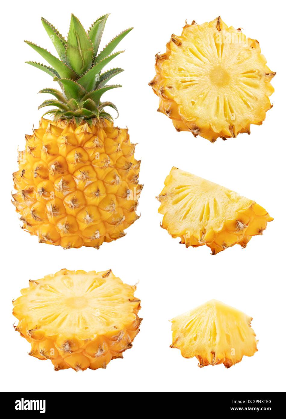 Isolated pineapple. Collection of whole and sliced ananas fruits ...