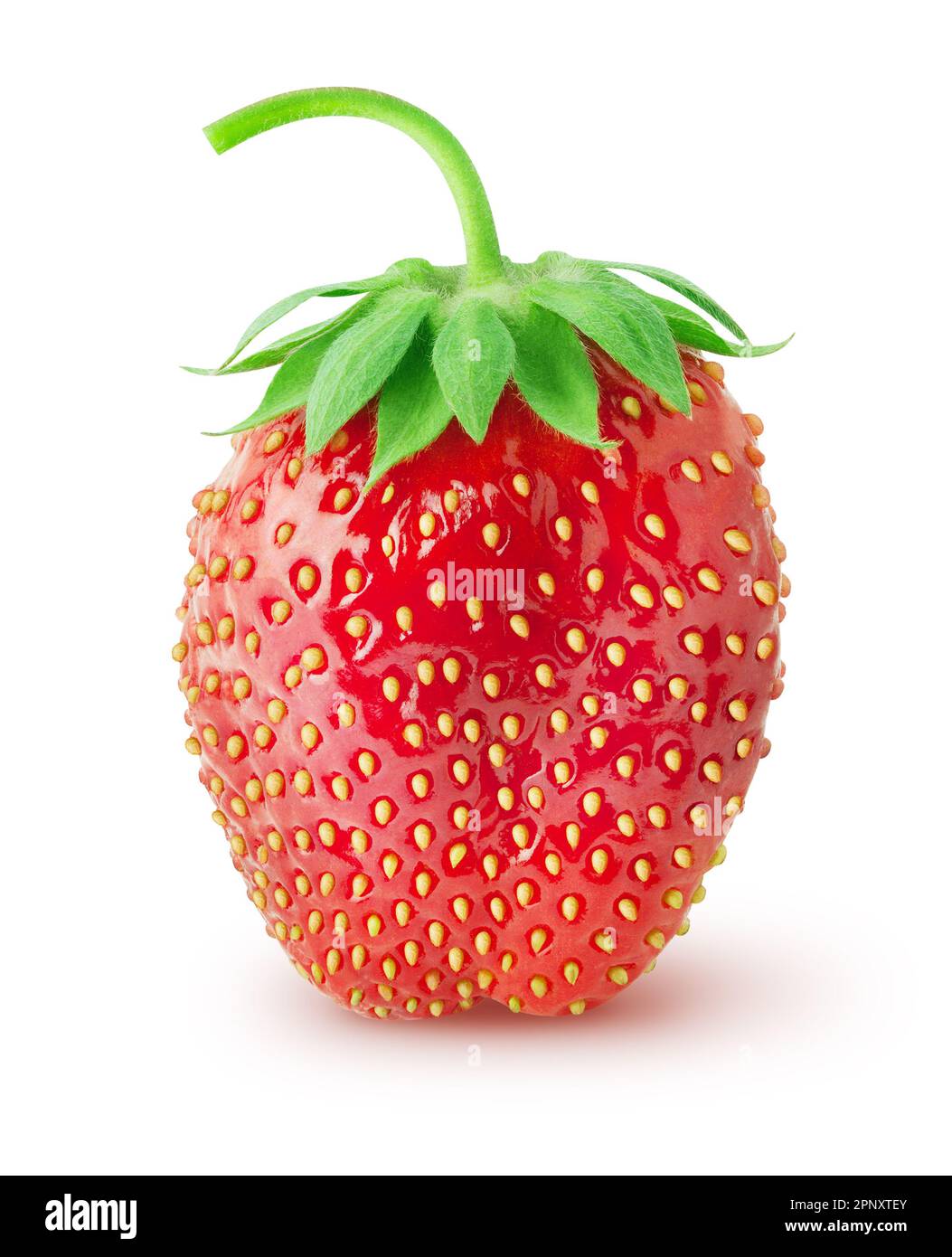 Isolated strawberry. Whole single strawberry fruit isolated on white ...