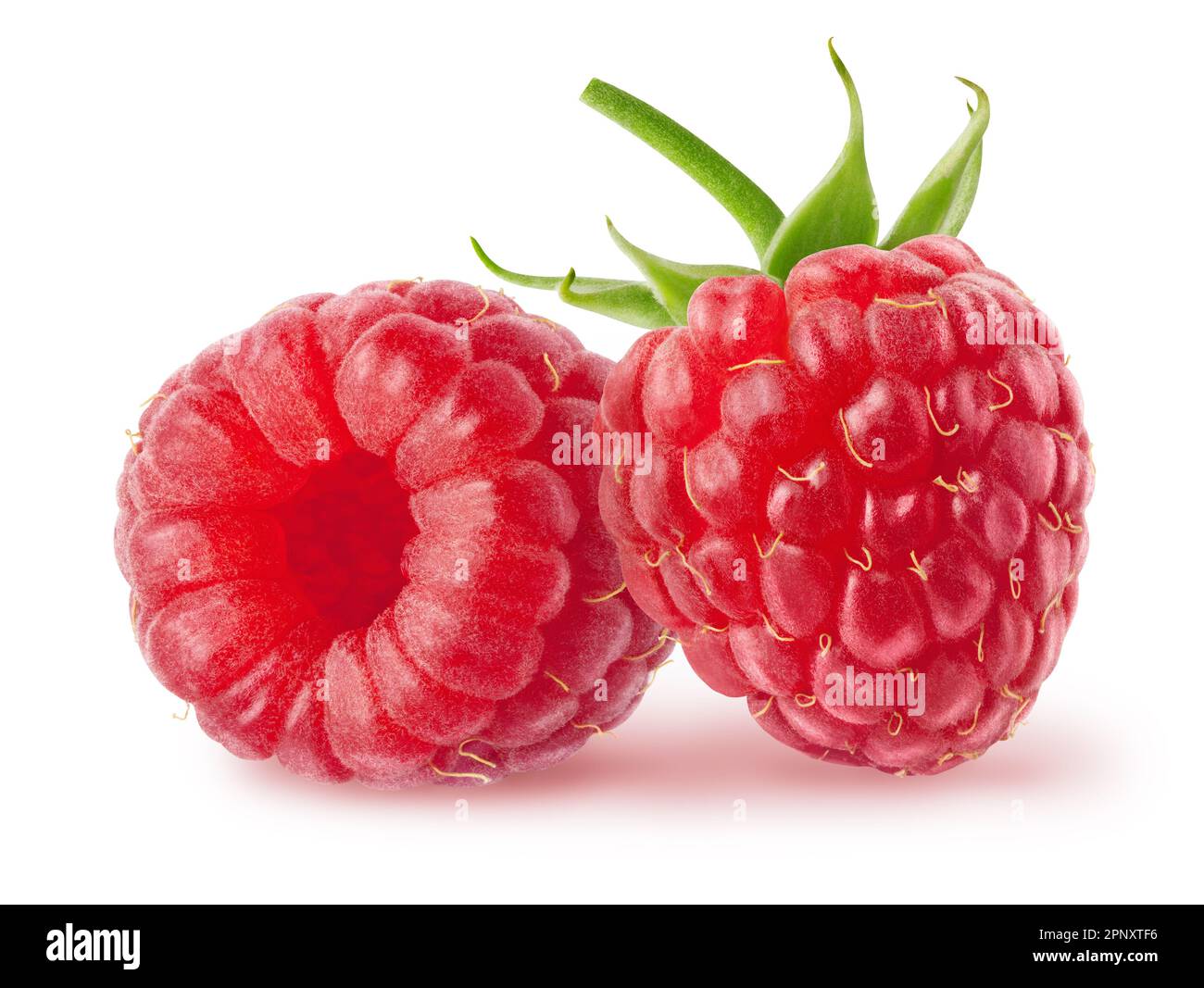 Isolated berries. Two fresh raspberry fruits isolated on white ...