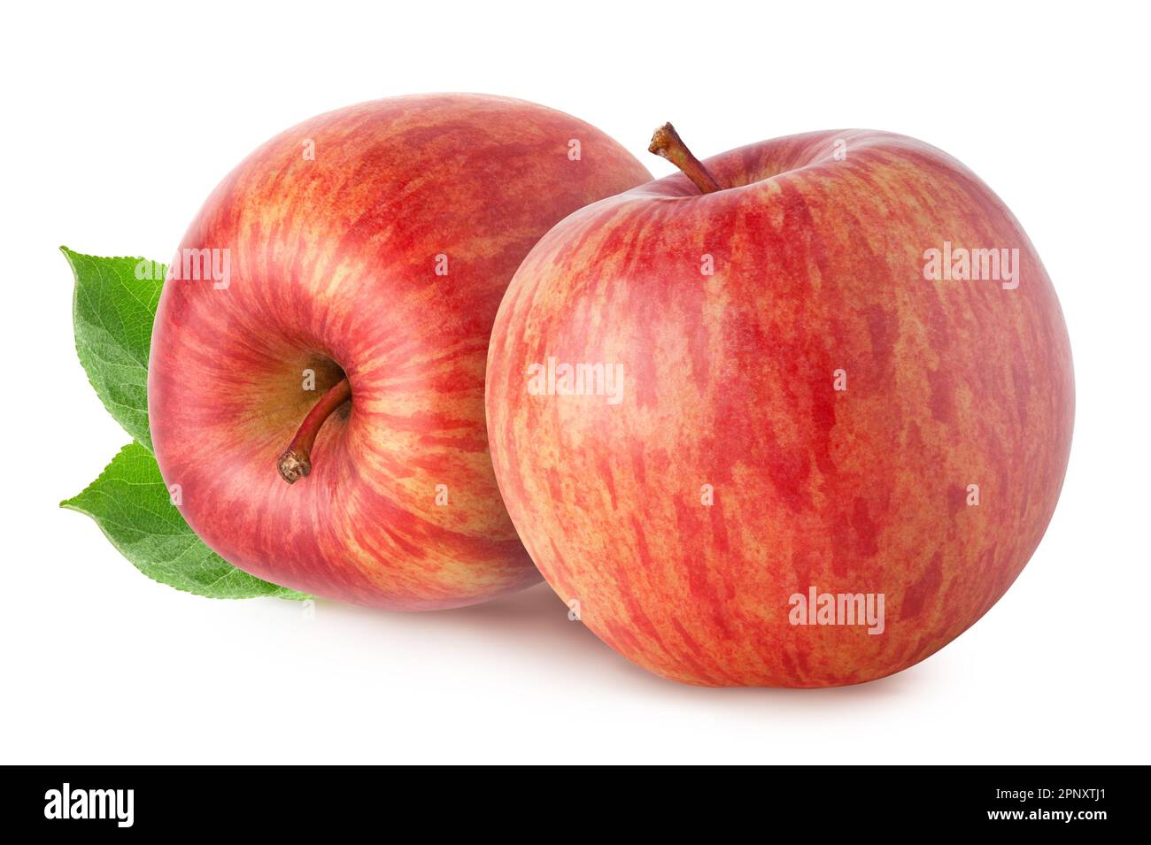 Isolated apples. Two red apple fruit with leaves isolated on white ...