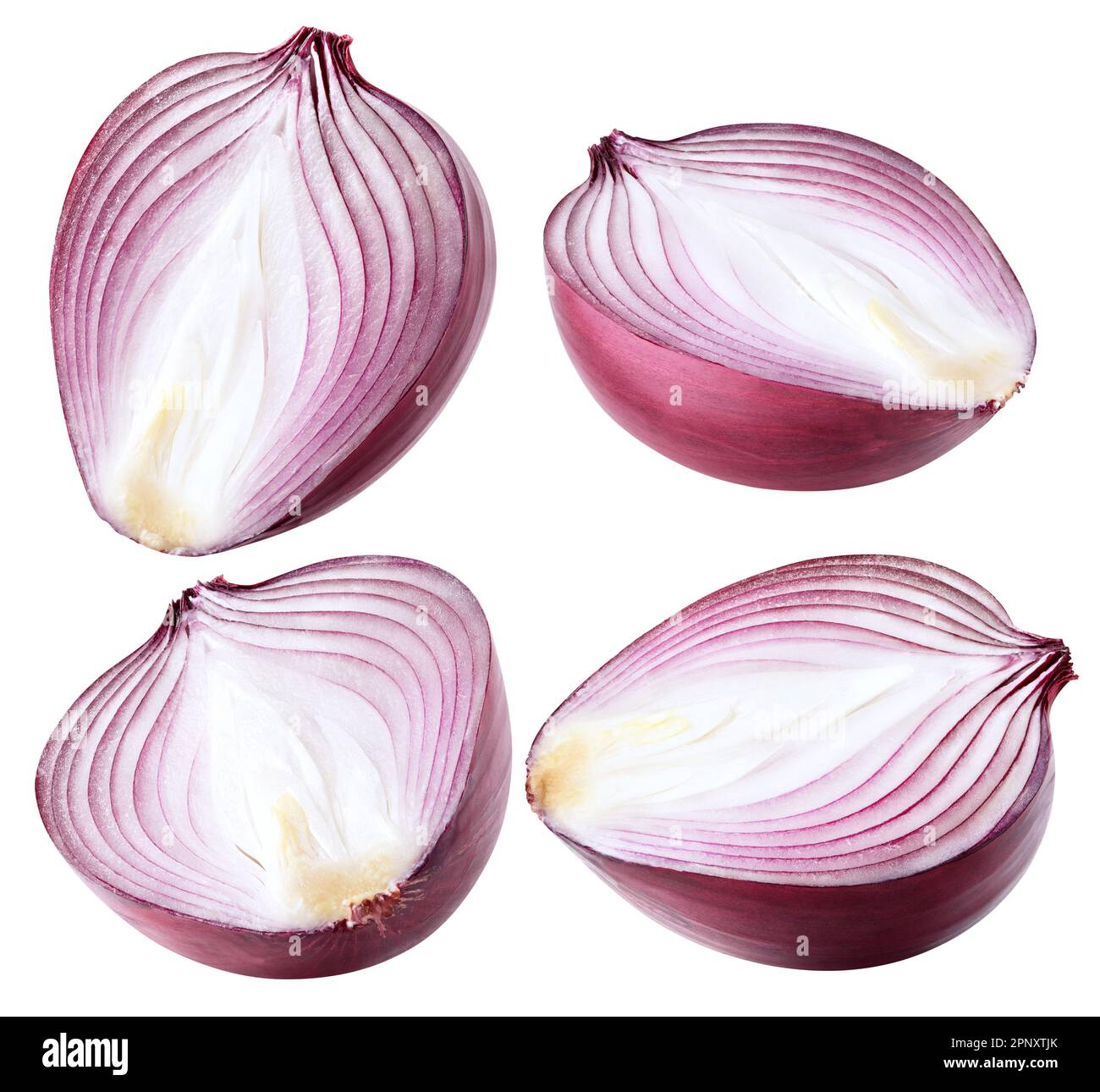 Isolated onions. Collection of red onion isolated on white background ...