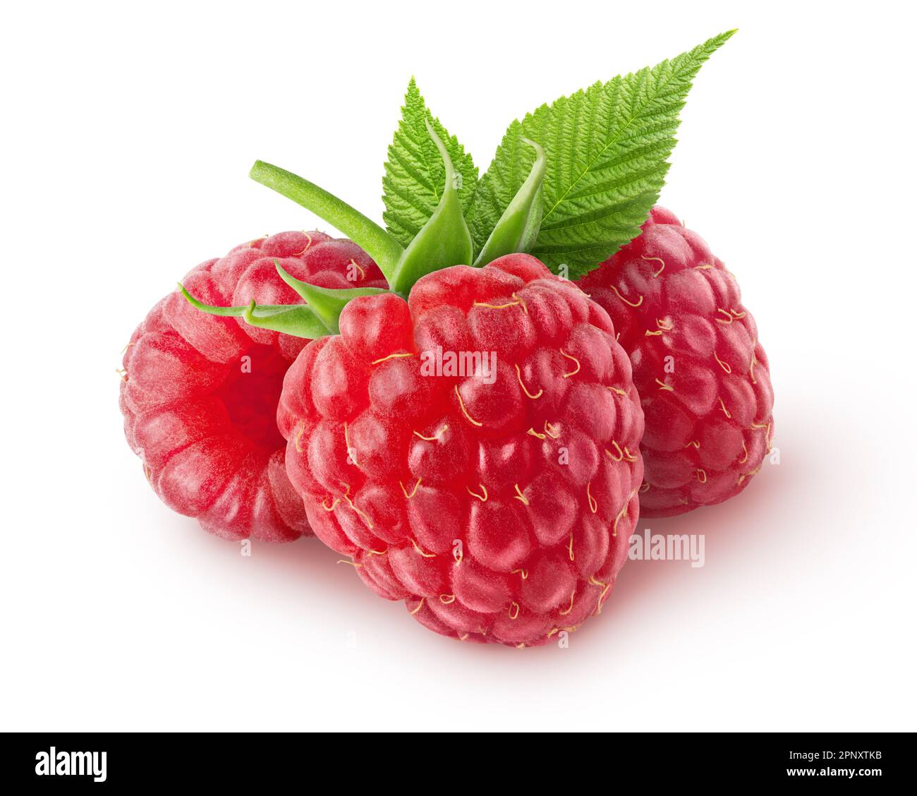 Isolated berries. Three raspberry fruits with leaves isolated on white ...
