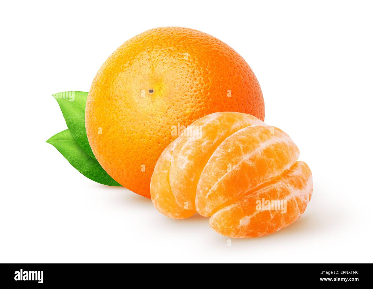 Isolated citrus fruits. Whole tangerine (mandarin) with leaves and ...