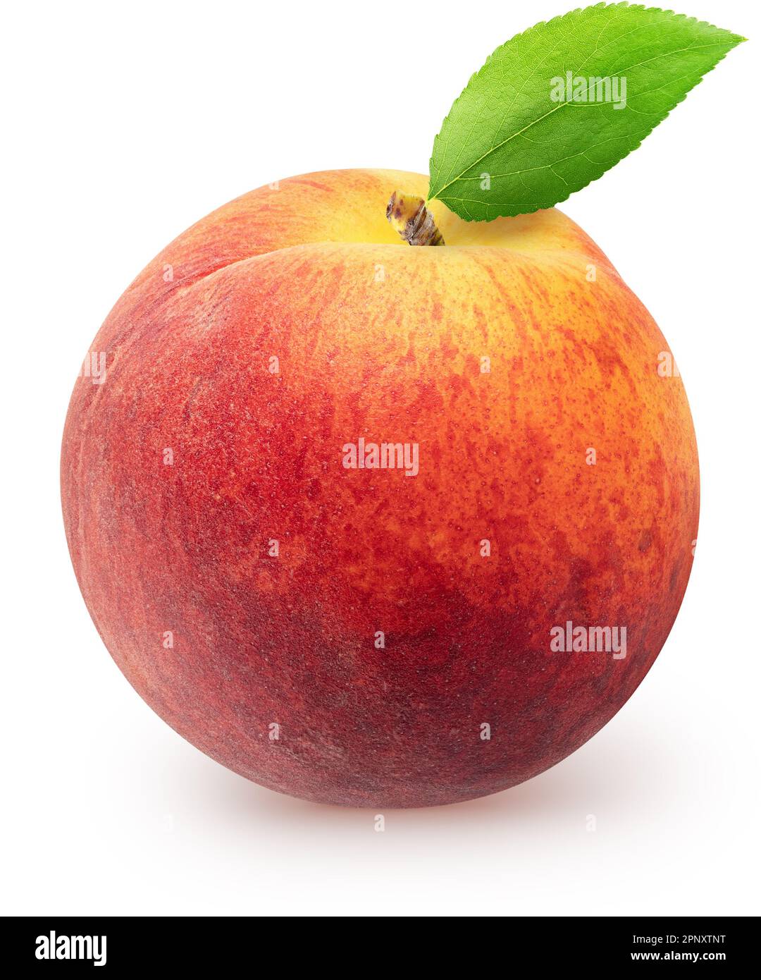 Isolated peach. Single peach fruit with leaf isolated on white ...