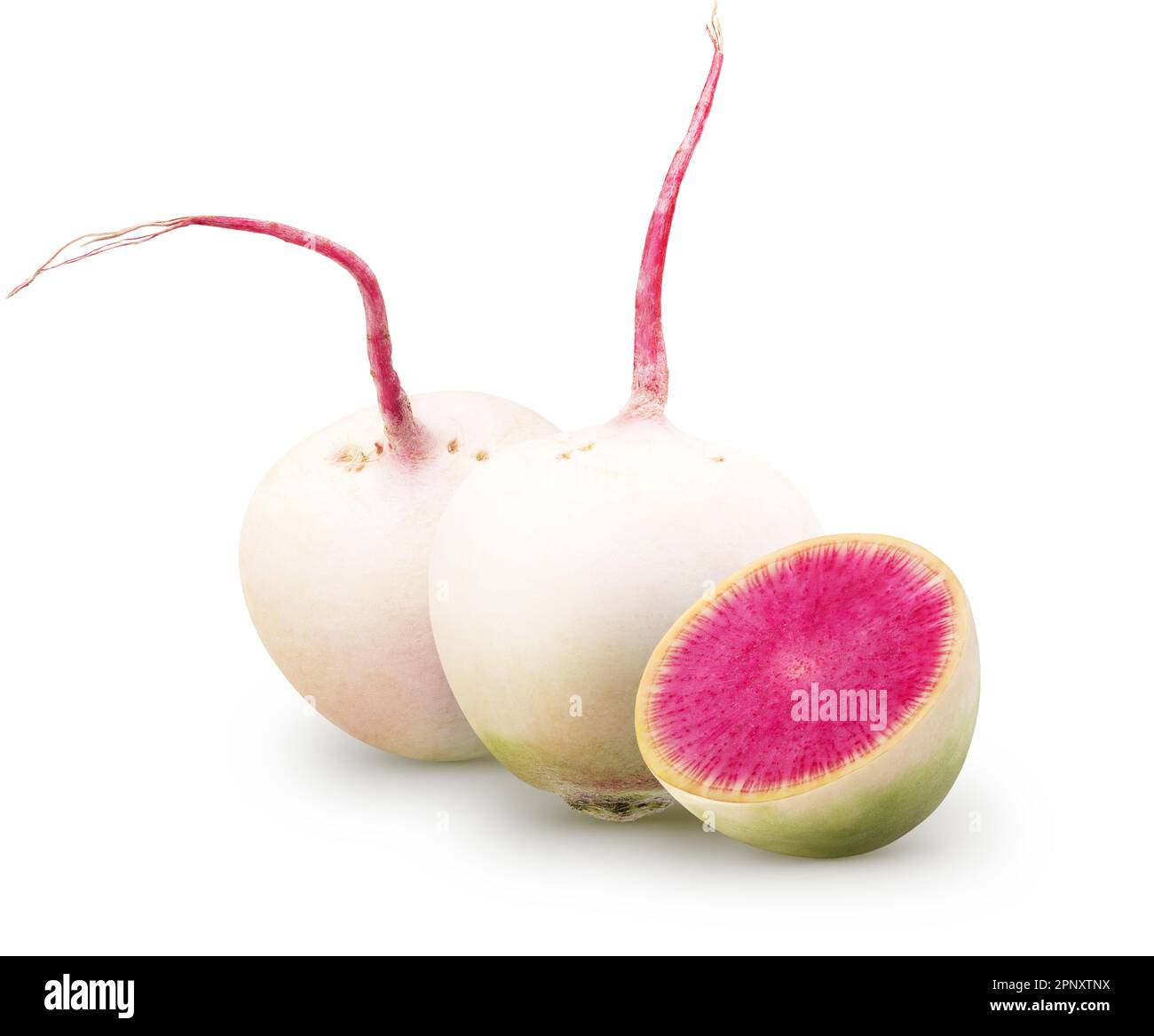 Isolated watermelon radishes. Two whole watermelon radish with a half ...