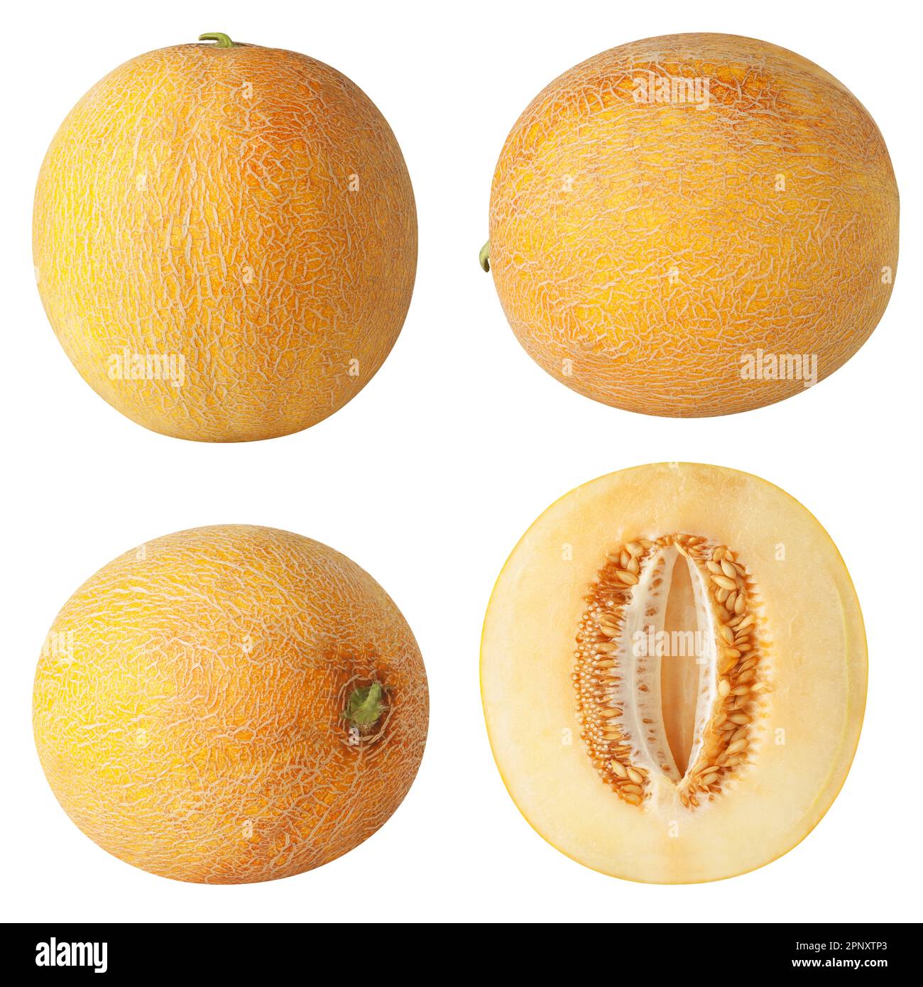 Isolated melon collection. Yellow melon fruit isolated on white ...