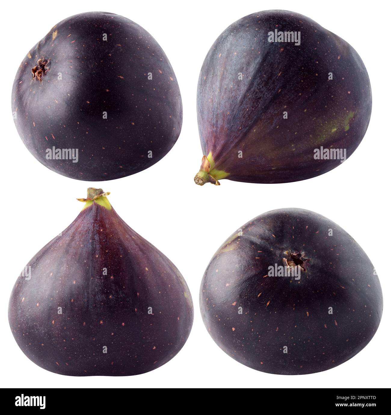 Isolated figs collection. Whole fresh figs isolated on white background ...