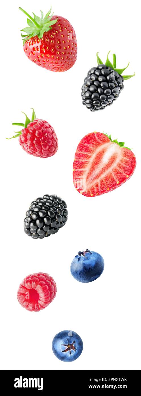 Isolated flying berries. Strawberry, blackberry, raspberry, blueberry ...