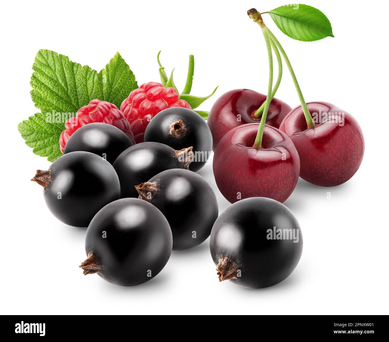 Isolated berries. Fresh black currants, cherry, raspberry fruits with ...