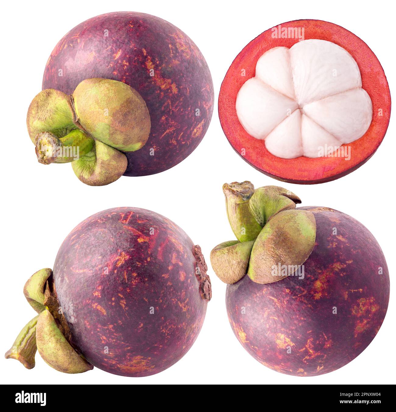 Collection of mangosteens. Different angle of whole and half mangosteen ...