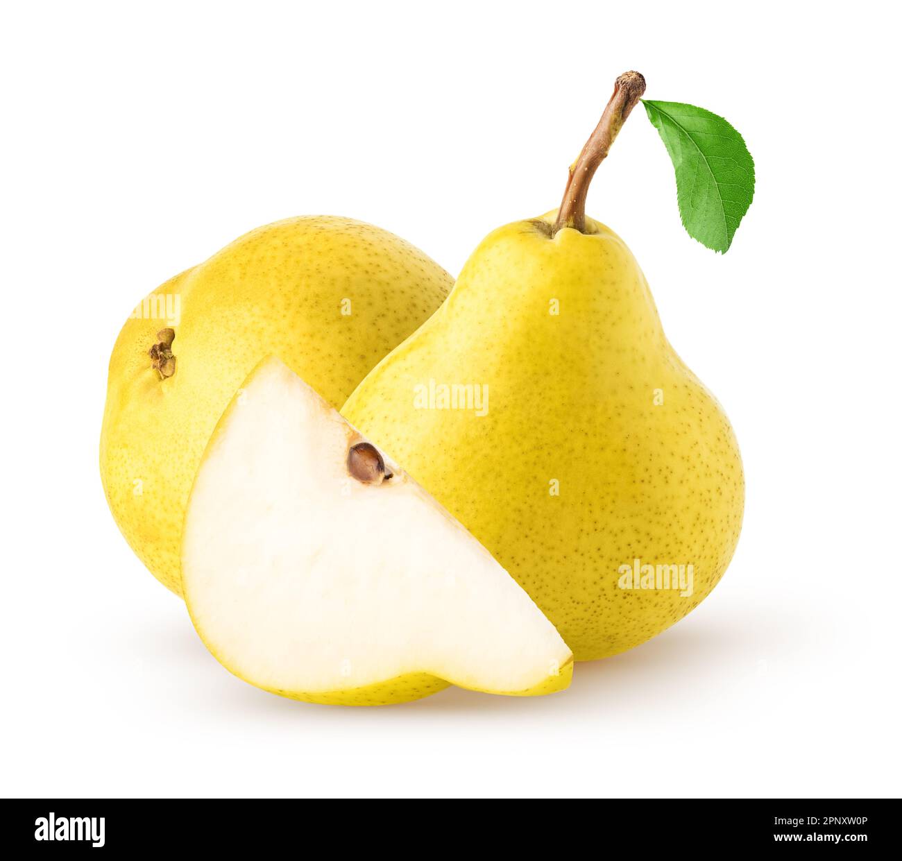 Isolated pears. Two pear fruit and a piece with leaf isolated on white ...