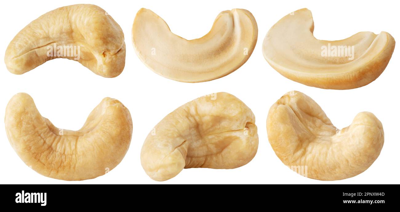 Isolated roasted cashew nuts. Collection of roasted cashew nuts and ...