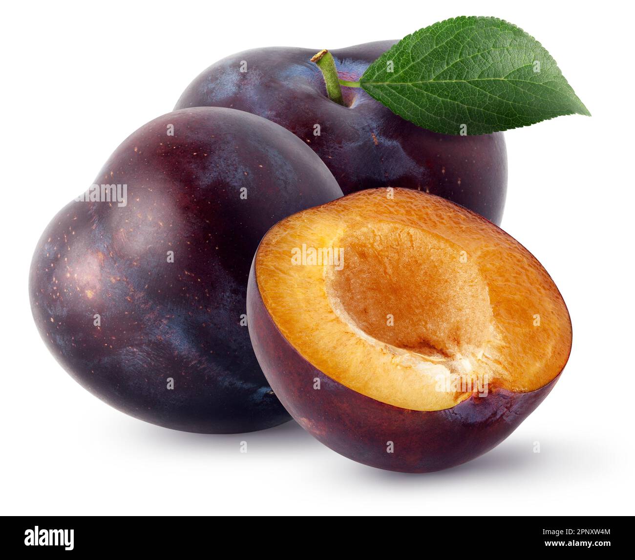 Isolated plums. Two whole and a half of blue plum fruit isolated on ...