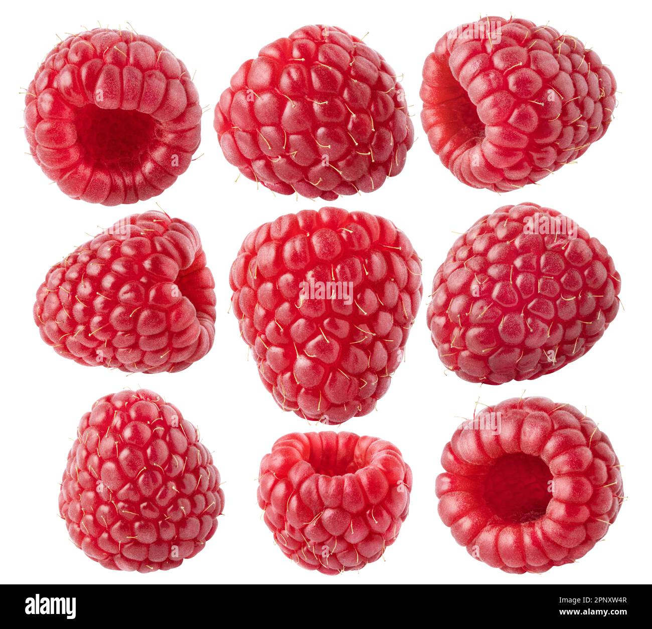 Collection of berries. Different shapes of nine raspberry fruits ...