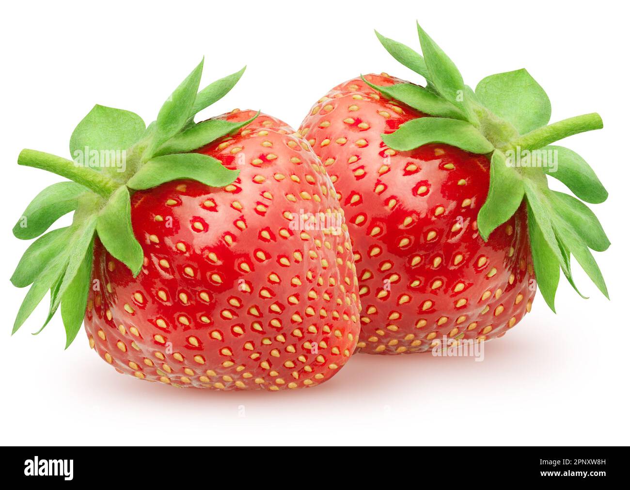 Isolated strawberries. Two whole strawberry fruits isolated on white ...