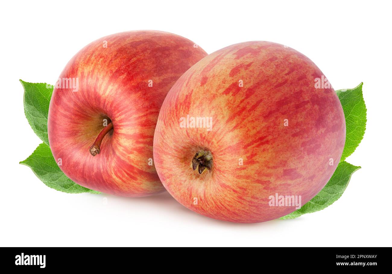 Isolated apples. Two red apple fruit with leaves isolated on white ...