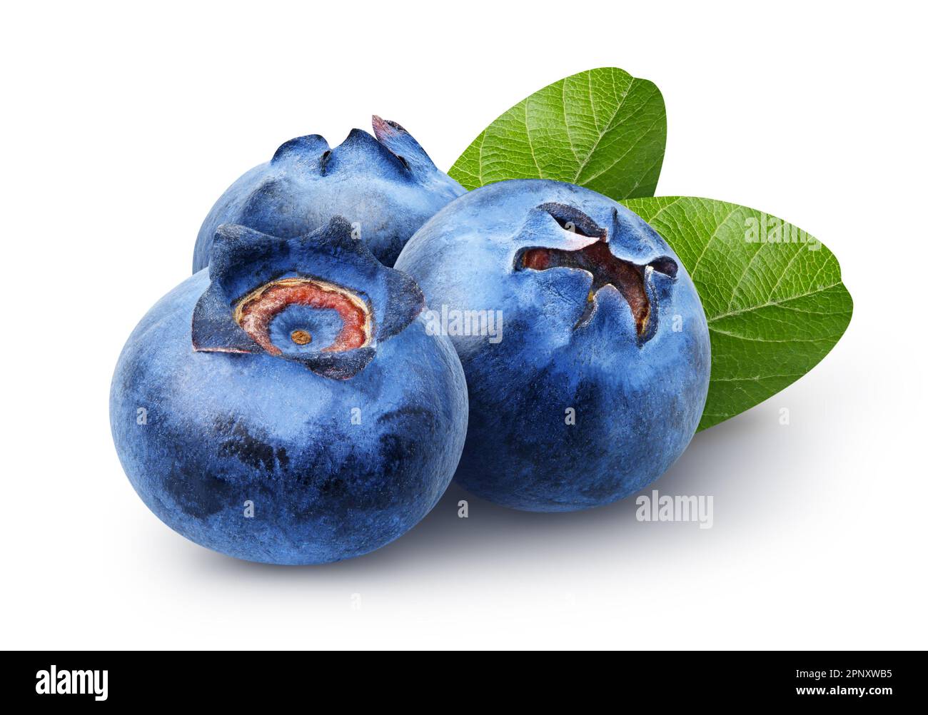 Isolated blueberries. Three sweet blueberry fruits with leaves isolated ...