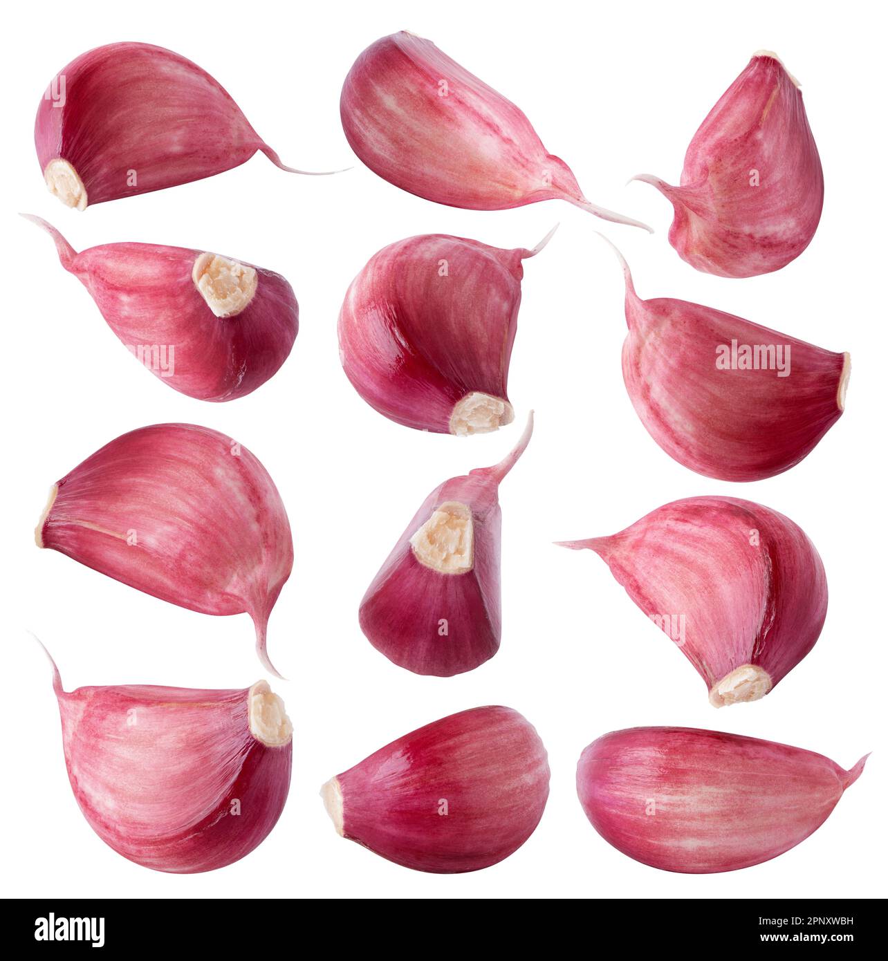 Collection of garlic segments. Different shapes of fresh garlic segment ...