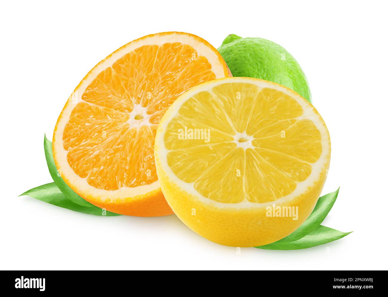 Citrus fruits. Orange, lemon, lime isolated on white background Stock ...