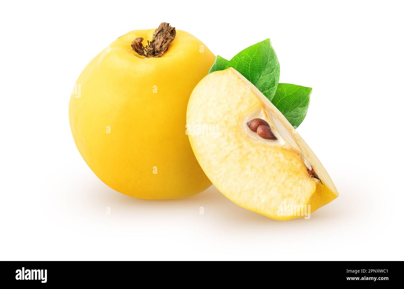 Isolated quince. Whole quince fruit and a piece with leaves isolated on ...