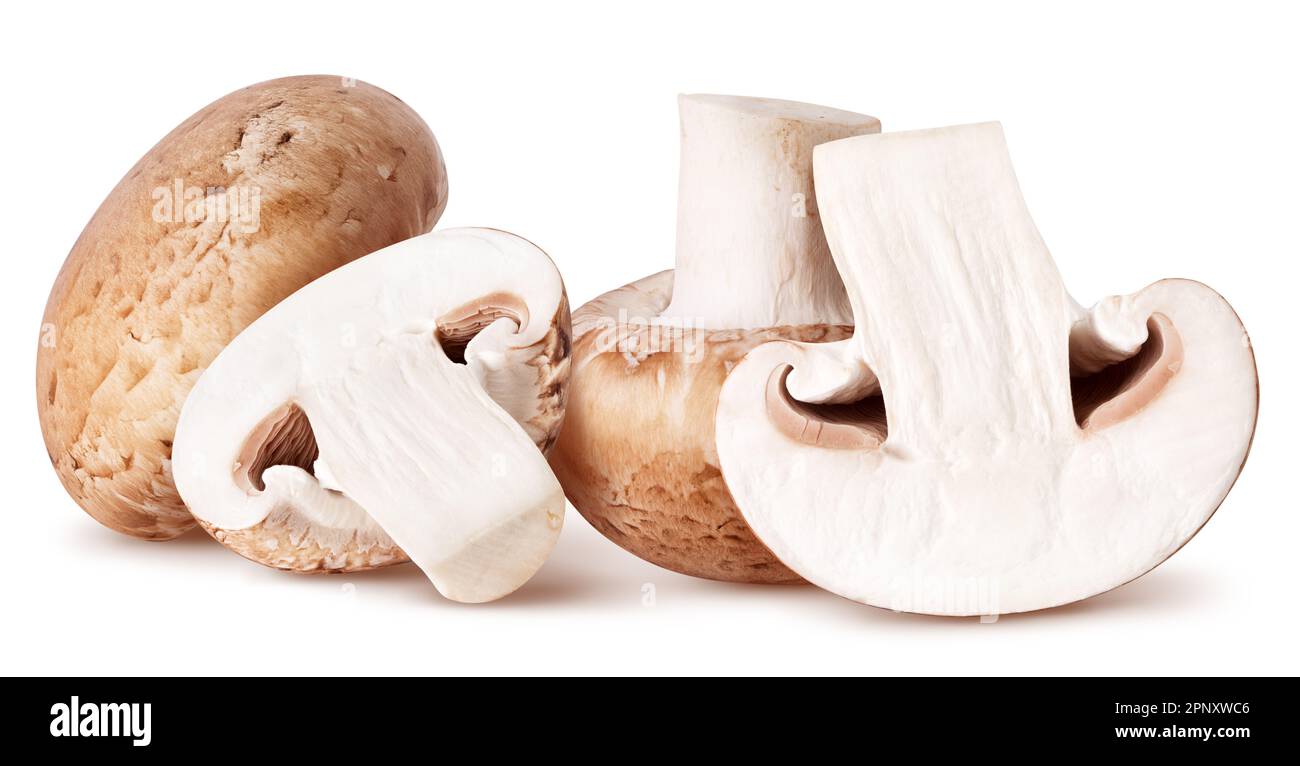 Isolated mushrooms. Group of fresh champignon mushrooms isolated on ...