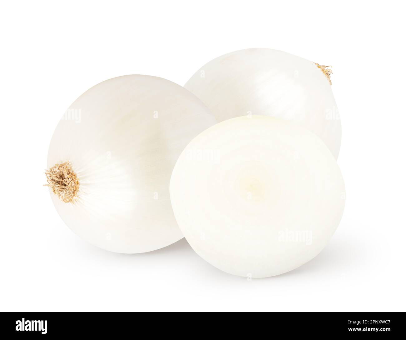 Isolated onions. Two whole and a half of white onion isolated on white ...