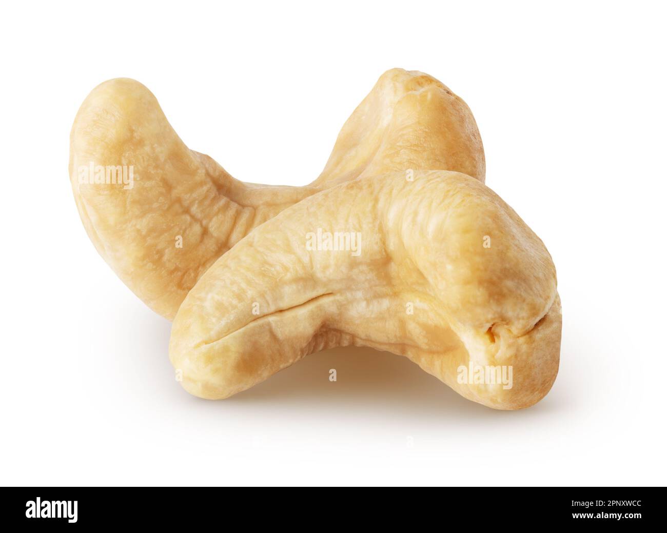 Isolated roasted cashew nuts. Closeup of two roasted cashew nuts ...