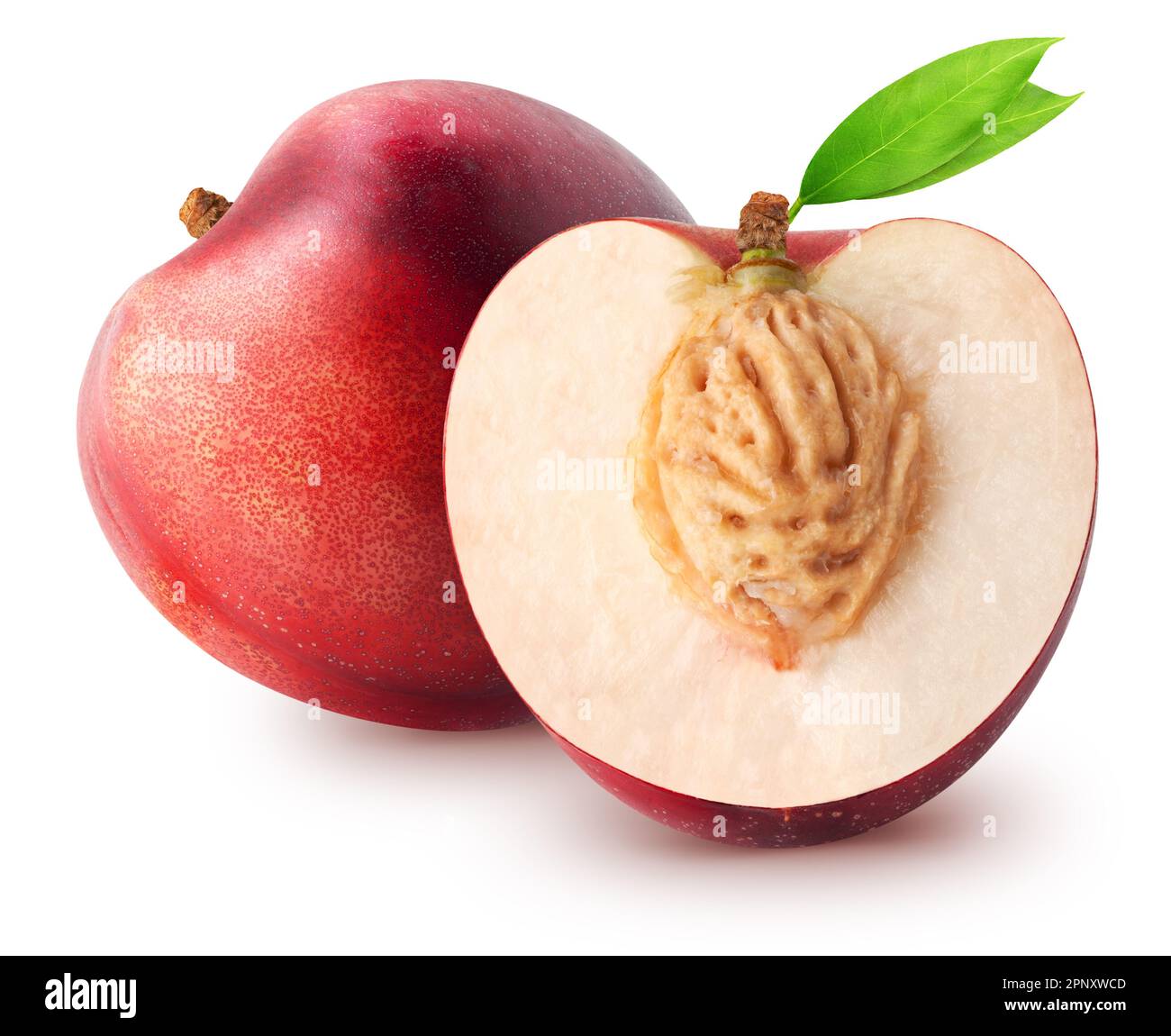 Whole nectarine fruit and slice with leaves isolated on white ...