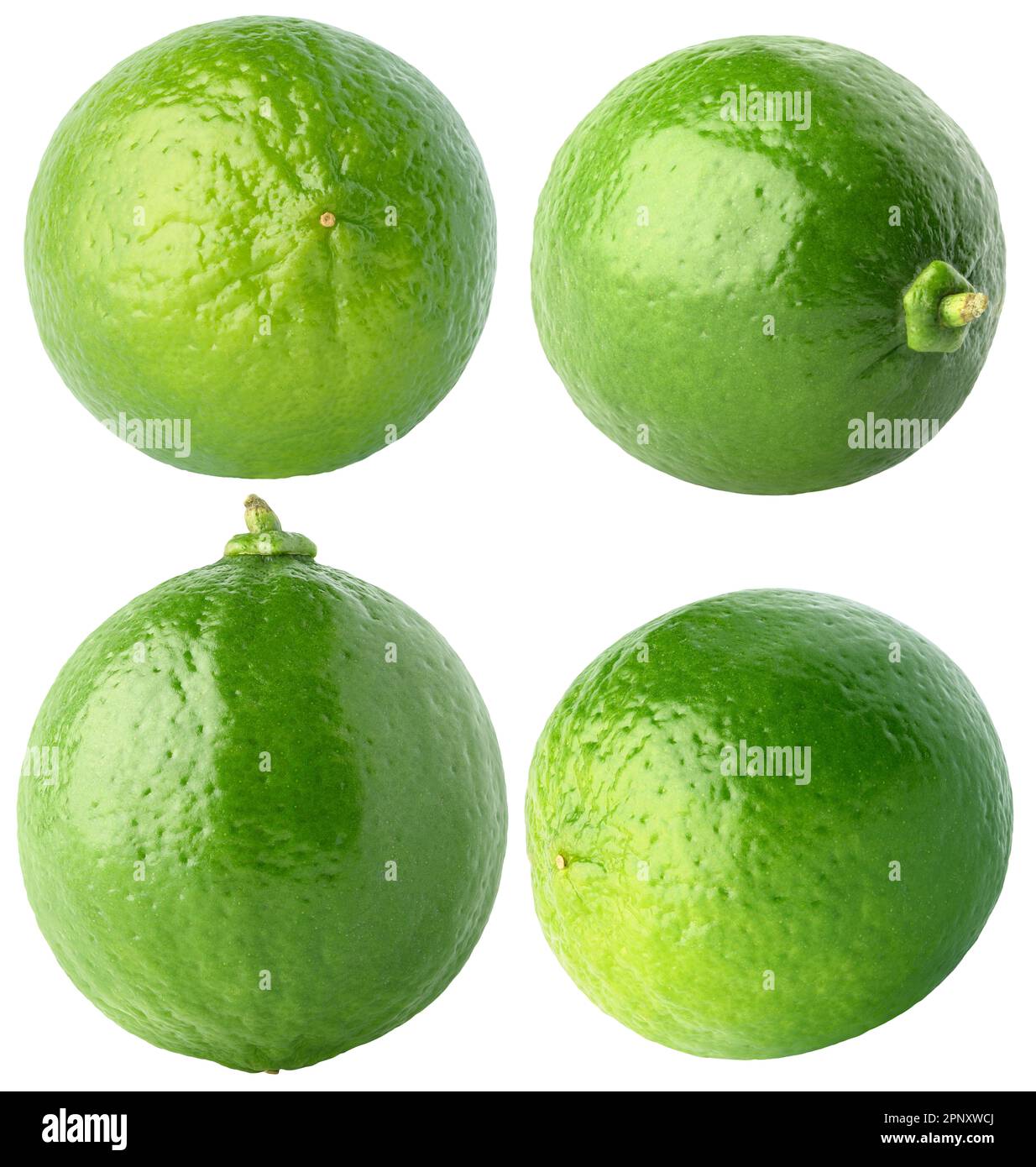 Different angle of whole lime fruit isolated of white background, with ...
