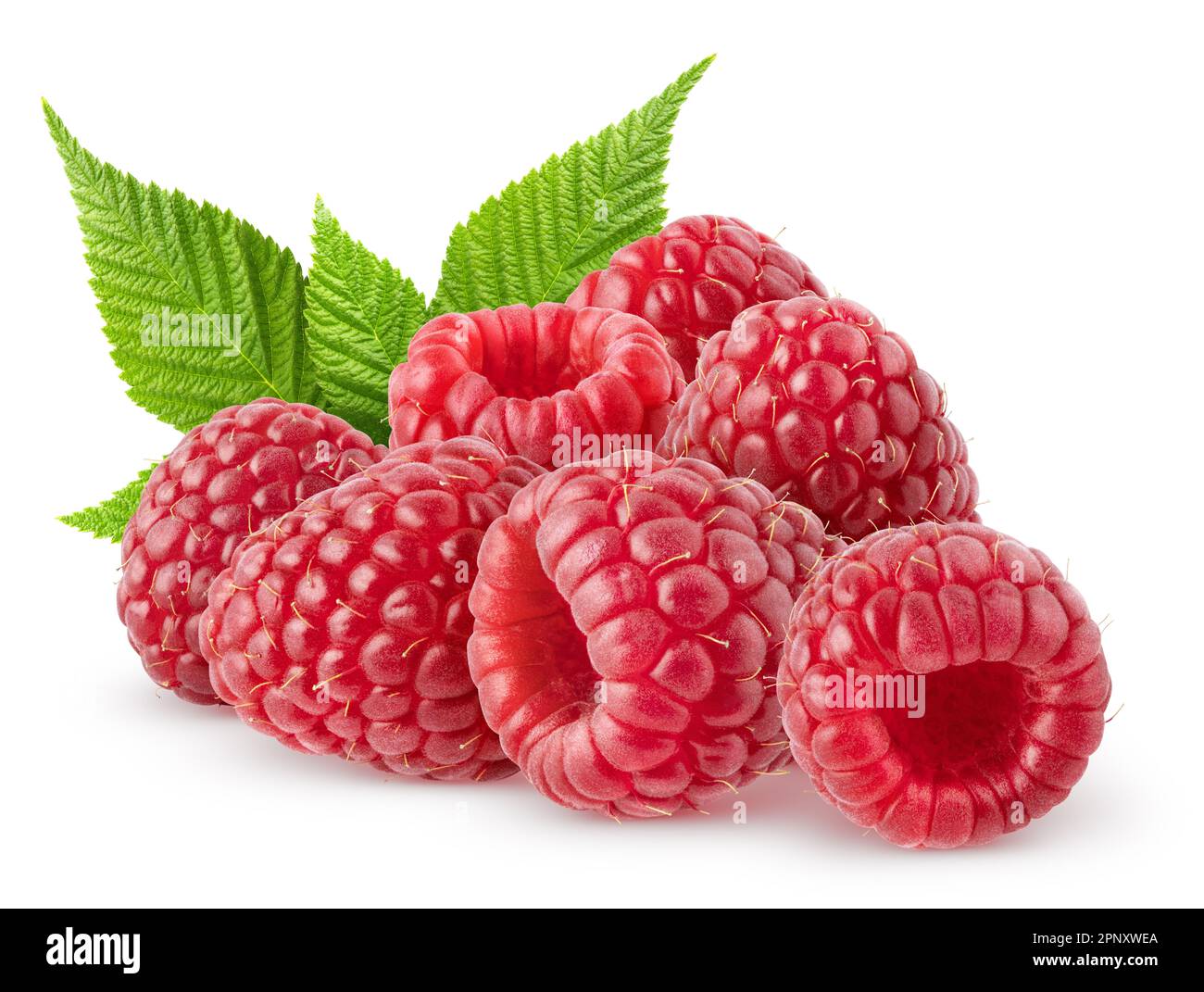 Isolated berries. Bunch of raspberry fruits with leaves isolated on ...
