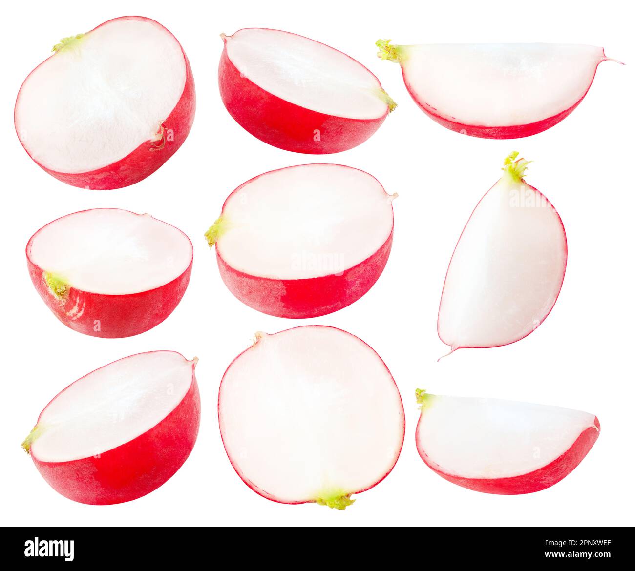 Collection of radishes. Raw radish half, slice and pieces isolated on ...