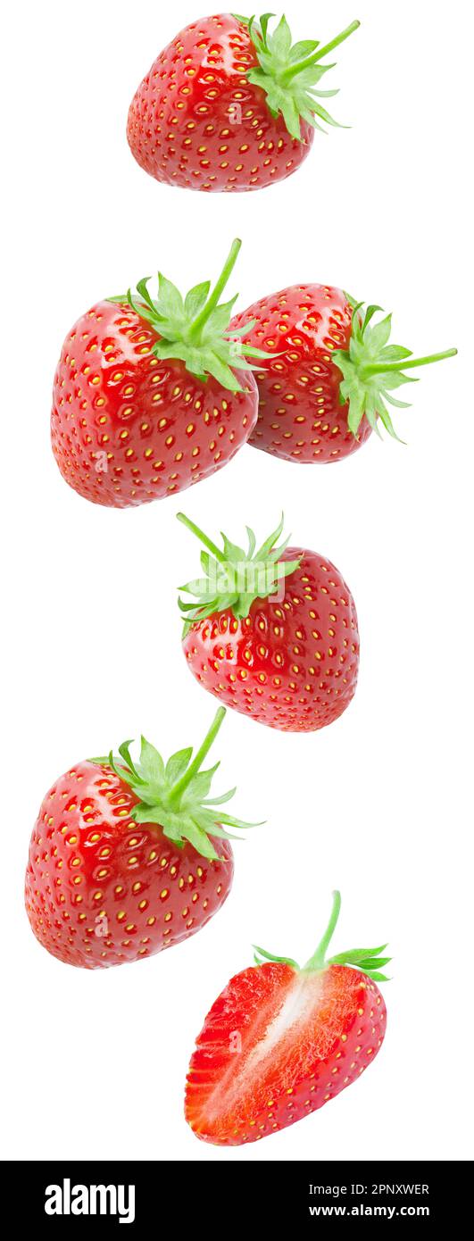 Isolated strawberries. Falling strawberry fruits isolated on white ...