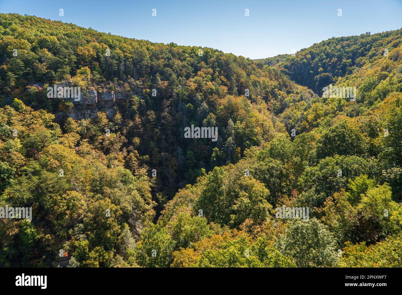 Cloudland Canyon State Park in Rising Fawn, Georgia Stock Photo - Alamy