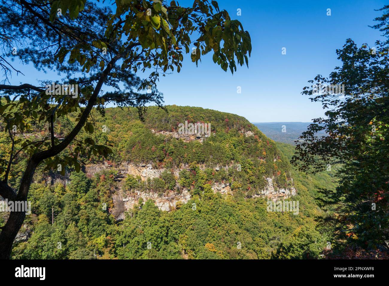 Cloudland Canyon State Park in Rising Fawn, Georgia Stock Photo - Alamy