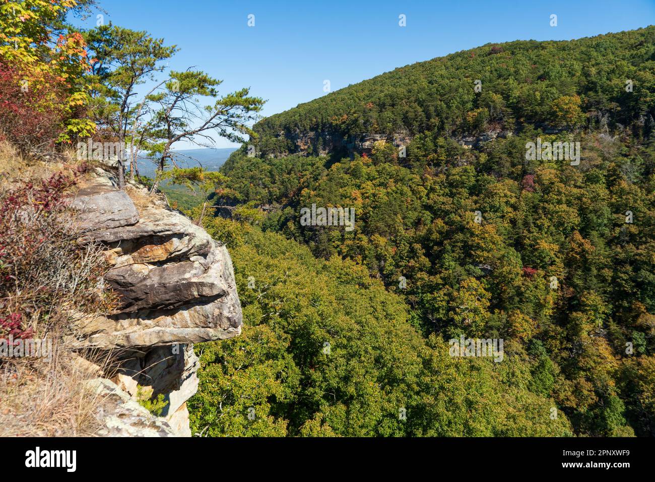 Cloudland Canyon State Park in Rising Fawn, Georgia Stock Photo - Alamy