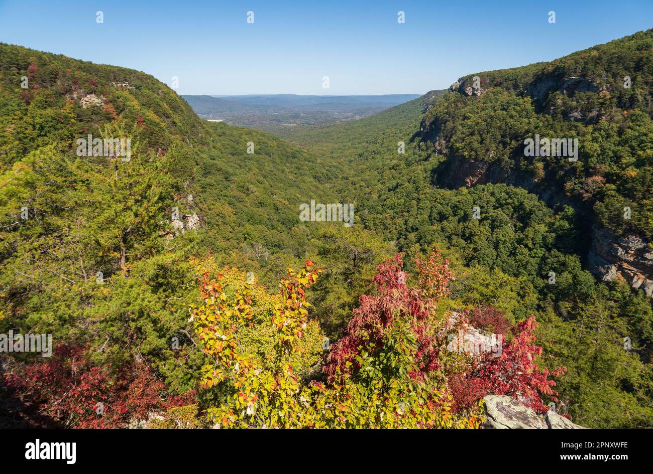 Cloudland Canyon State Park in Rising Fawn, Georgia Stock Photo - Alamy