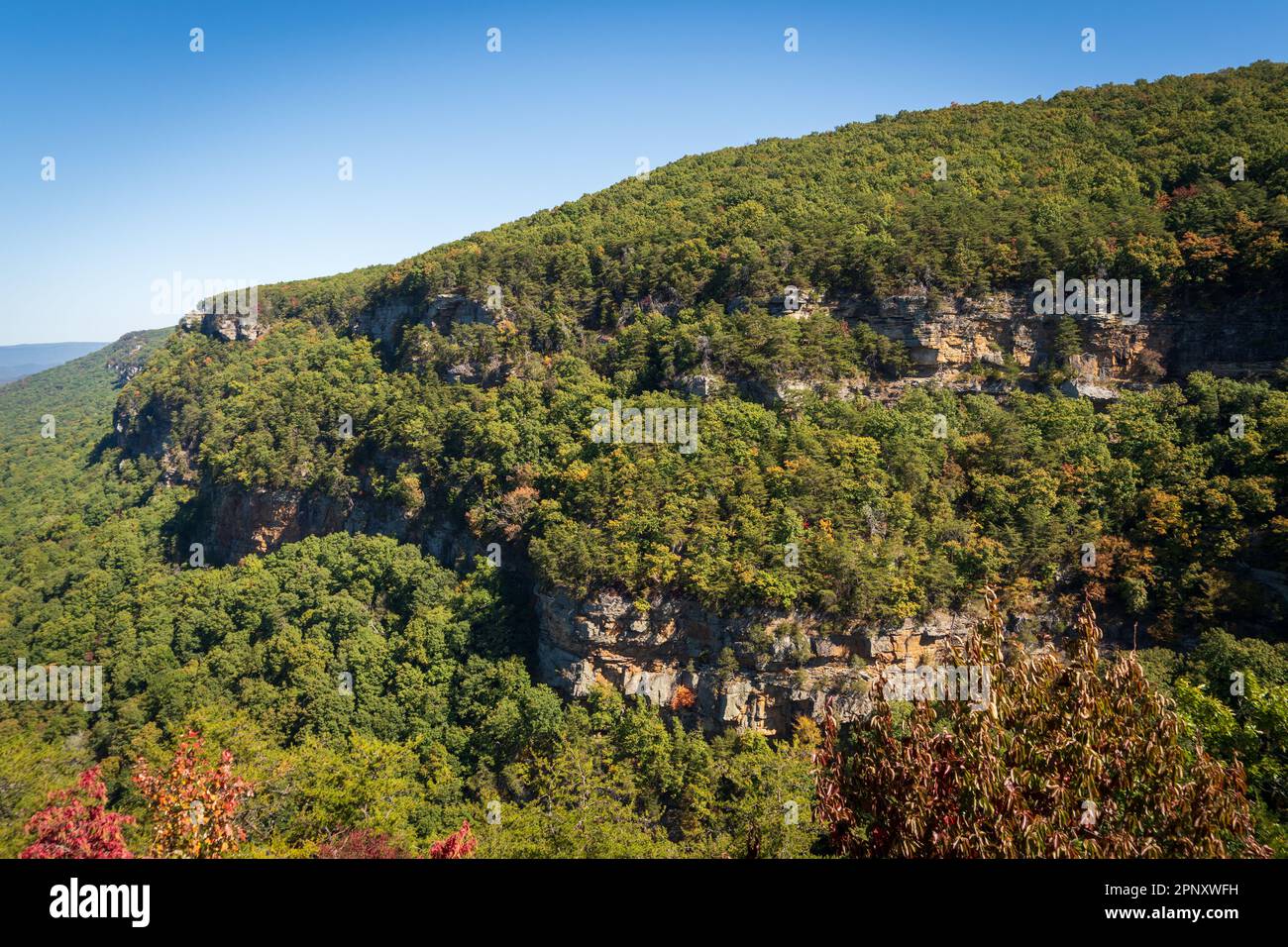 Cloudland Canyon State Park in Rising Fawn, Georgia Stock Photo - Alamy
