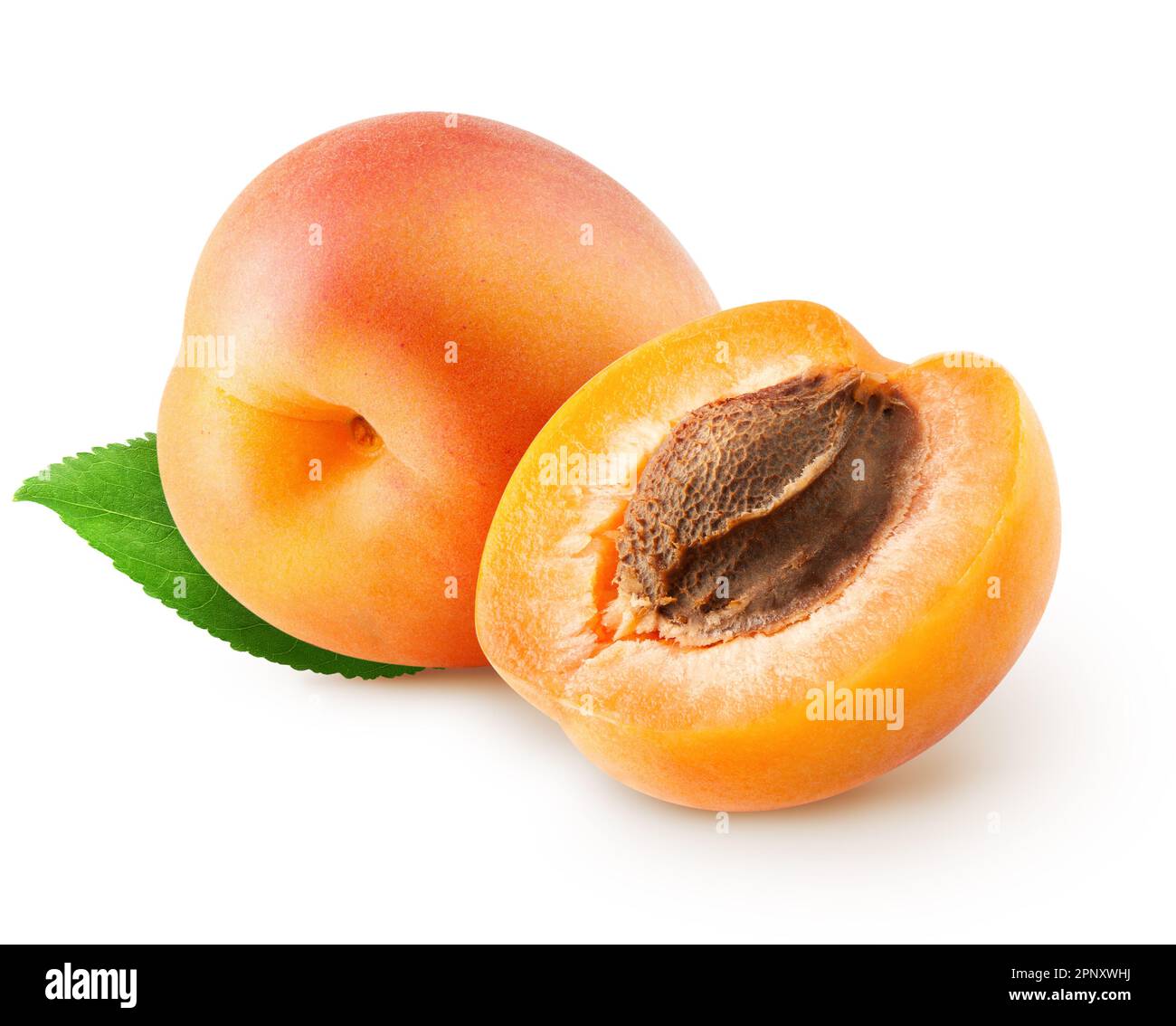 Isolated apricots. Fresh whole apricot fruit and half with leaf ...