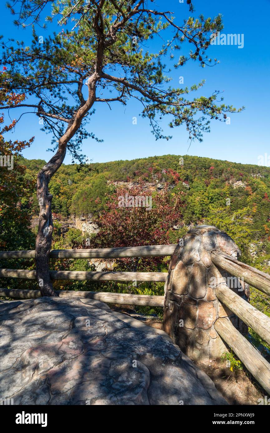 Cloudland Canyon State Park in Rising Fawn, Georgia Stock Photo - Alamy