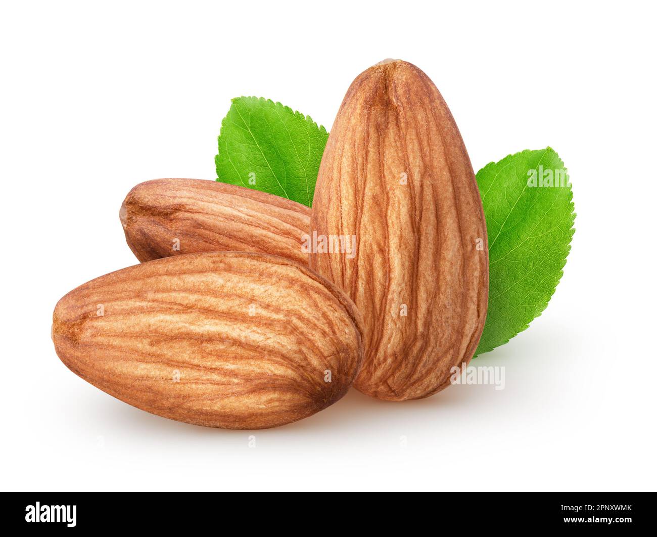 Isolated almonds. Closeup of three almonds with leaves isolated on ...