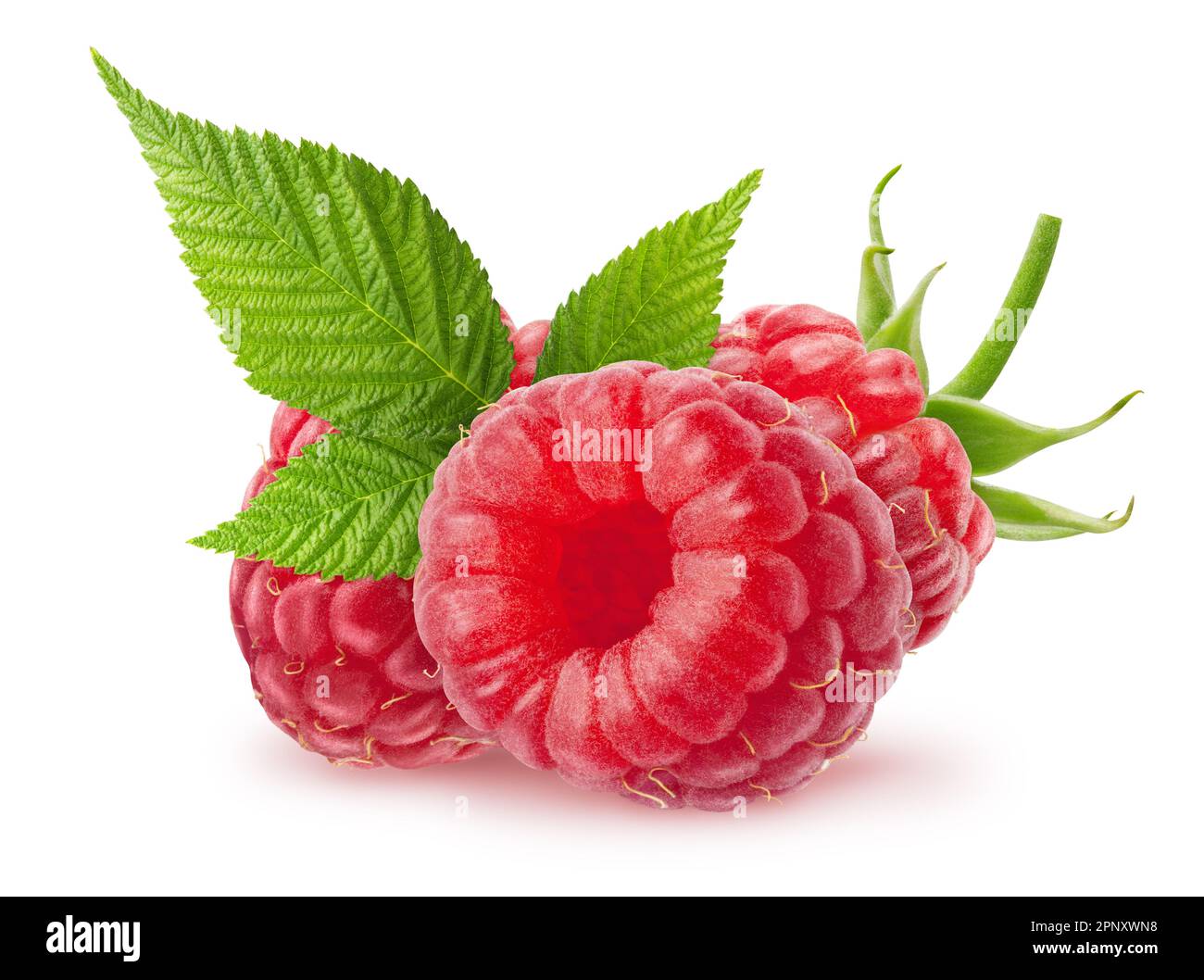 Isolated berries. Raspberry fruits with leaves isolated on white ...
