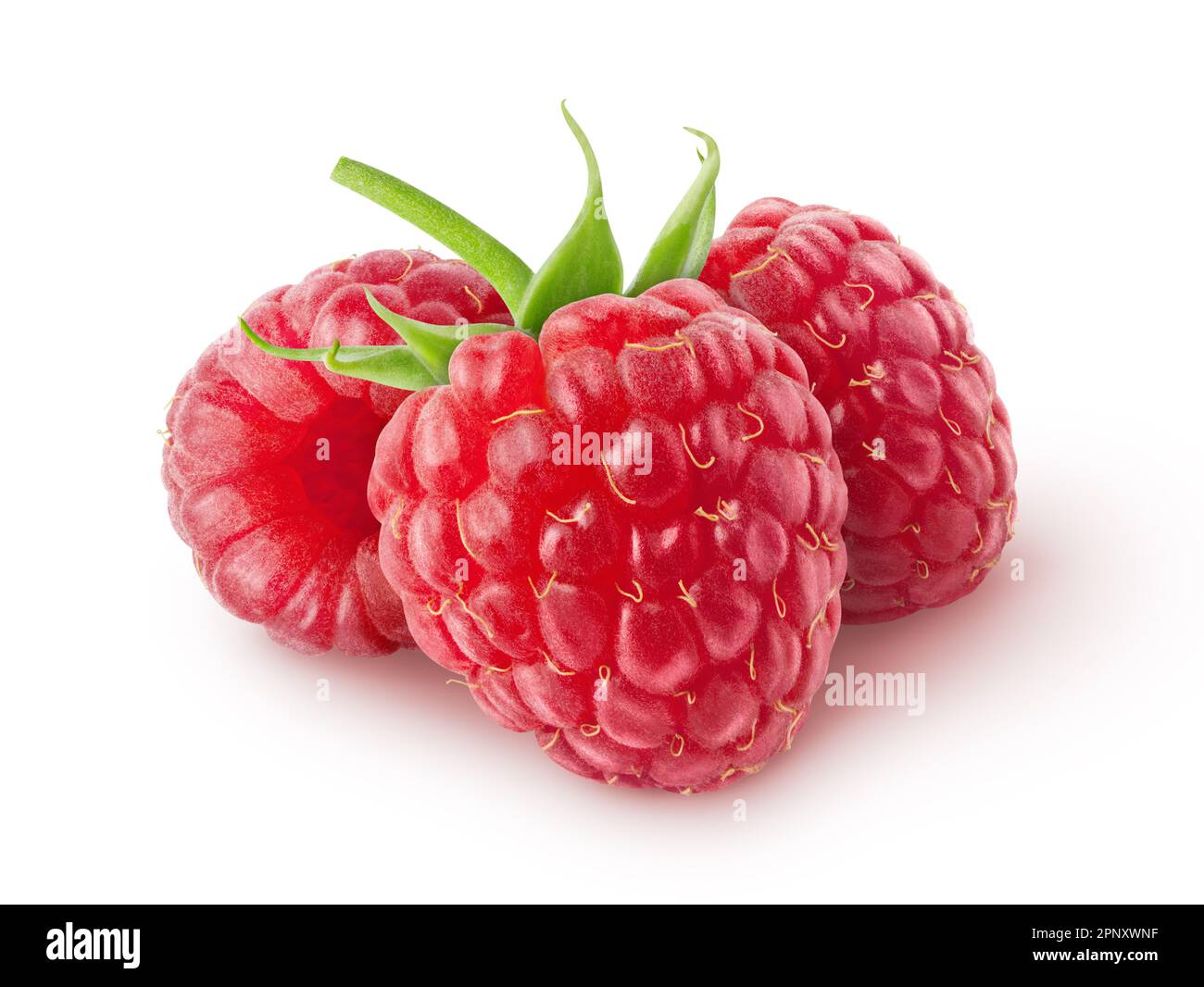 Isolated berries. Three raspberry fruits isolated on white background ...