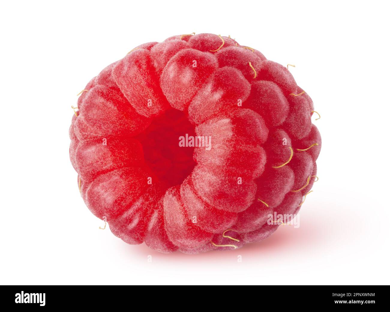 Isolated berry. One ripe raspberry fruit isolated on white background ...