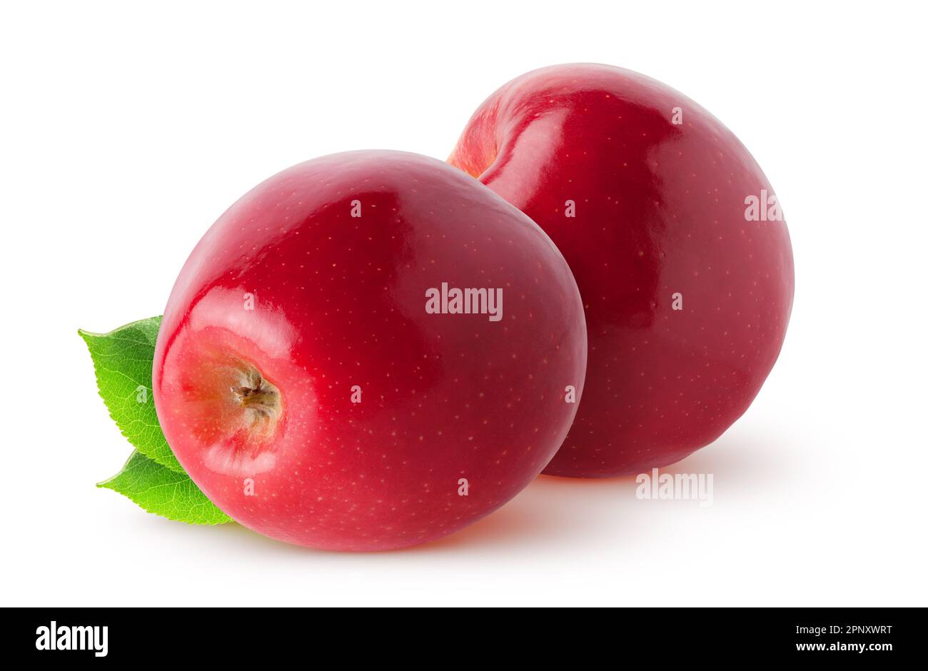 Isolated apples. Two whole red, pink apple fruit with leaves isolated ...